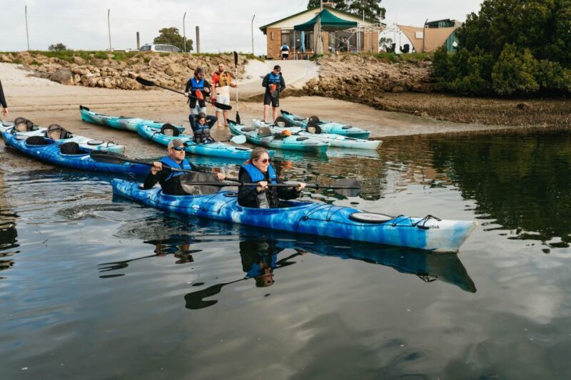 Adelaide: Dolphin Sanctuary Eco Kayaking Tour - Practical Details