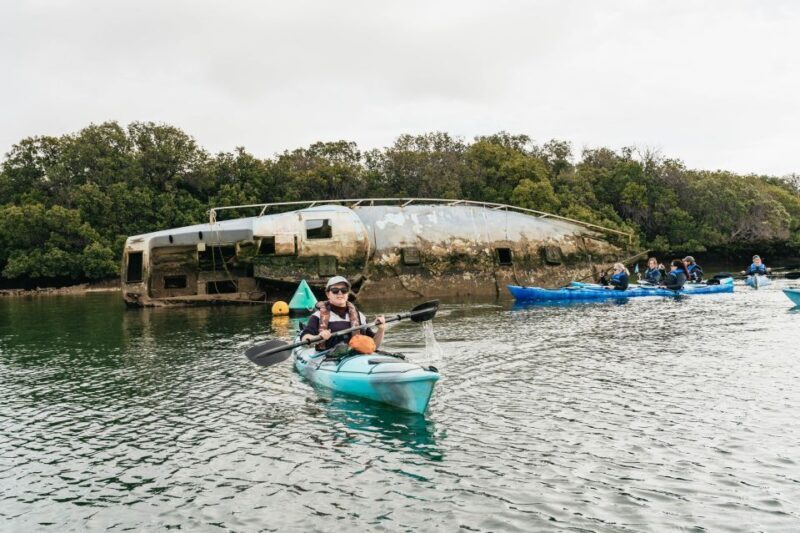 Adelaide: Dolphin Sanctuary Eco Kayaking Tour - The Sum Up