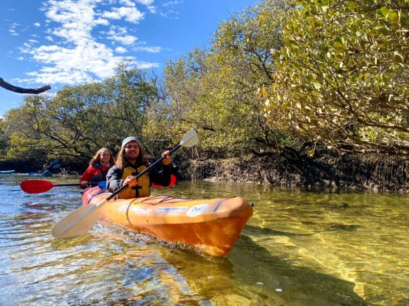 Adelaide: Dolphin Sanctuary Mangroves Kayak Tour - Practicalities: What You Need to Know