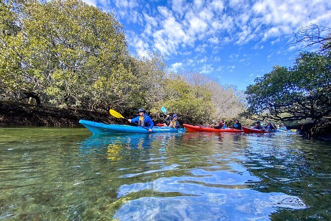 Adelaide Dolphin Sanctuary Mangroves Kayaking Tour - Final Thoughts