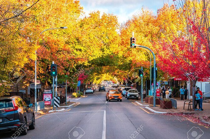 Adelaide "Firsts" Walking Tour - From Grid Plans to Great Wine - Who Will Love This Tour?
