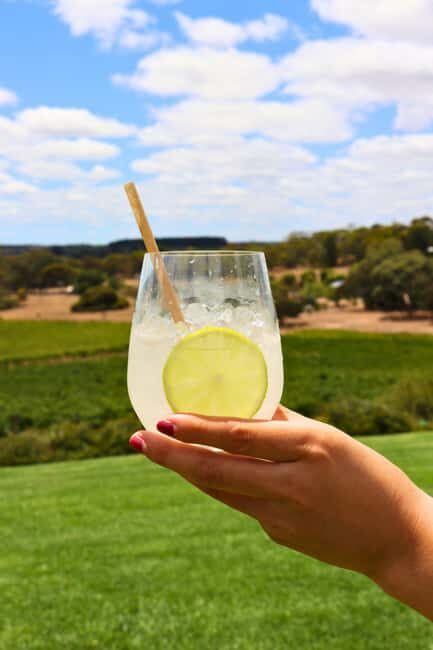 Adelaide: Fleurieu Rock Climb & Gin Tasting - A Day Blended with Thrills and Serenity