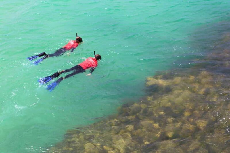Adelaide: Fleurieu Snorkel & Beer Safari - An Overview of the Experience