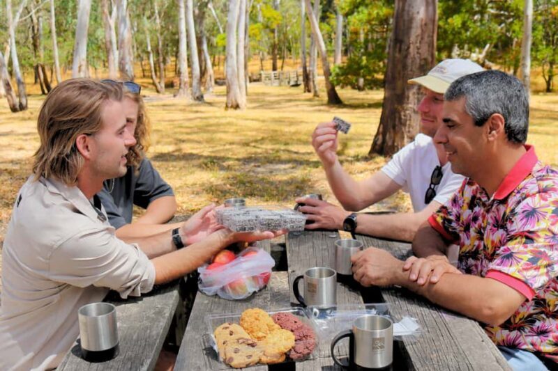 Adelaide: Fleurieu Snorkel & Beer Safari - Practical Details and What to Expect