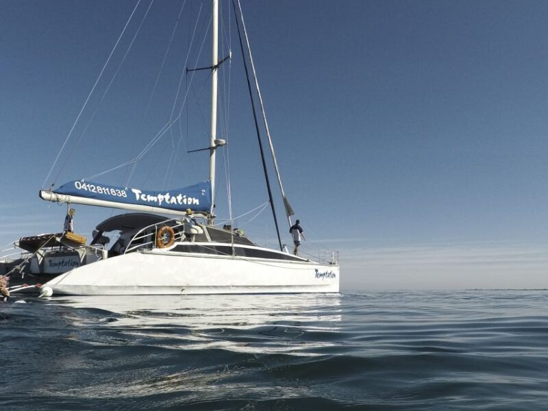 Adelaide: Glenelg Twilight Catamaran Cruise with Drink - Setting Sail: What to Expect on the Glenelg Twilight Cruise