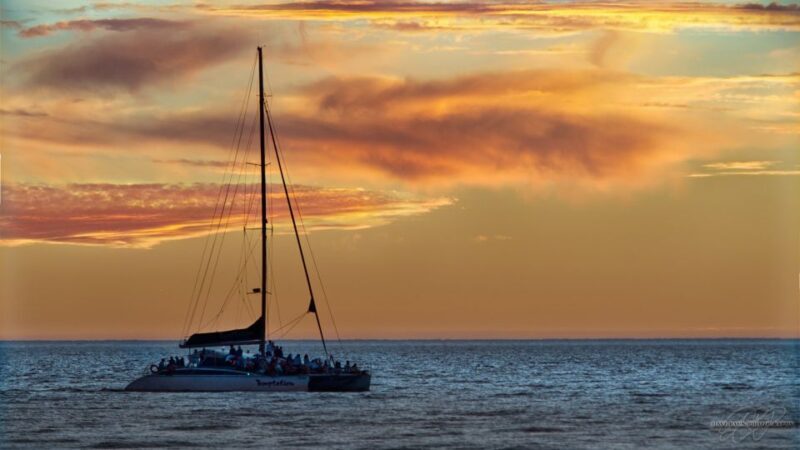 Adelaide: Glenelg Twilight Catamaran Cruise with Drink - Marine Encounters and the Local Waters