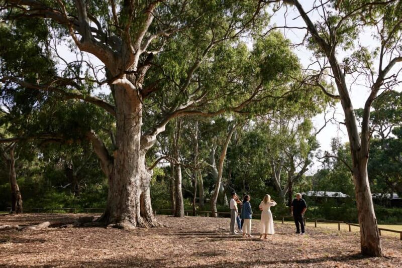 Adelaide: Guided Warriparinga Cultural and Historical Tour - A Closer Look at the Experience