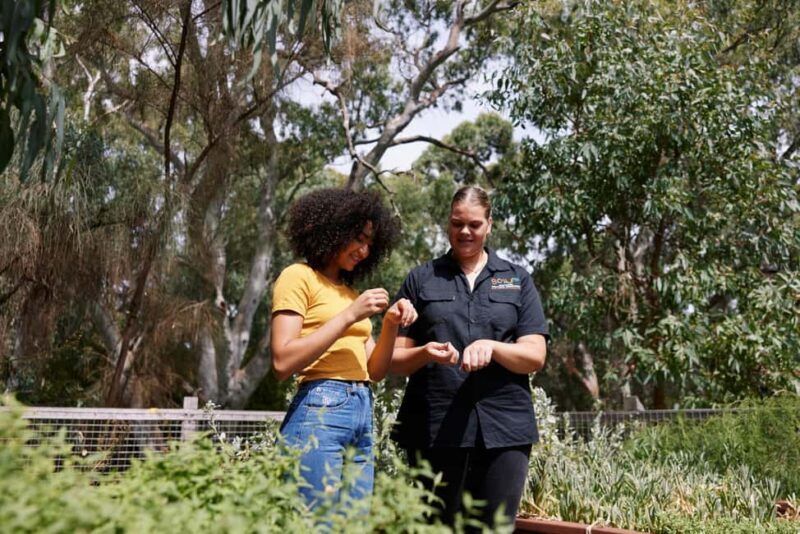Adelaide: Guided Warriparinga Cultural and Historical Tour - FAQs