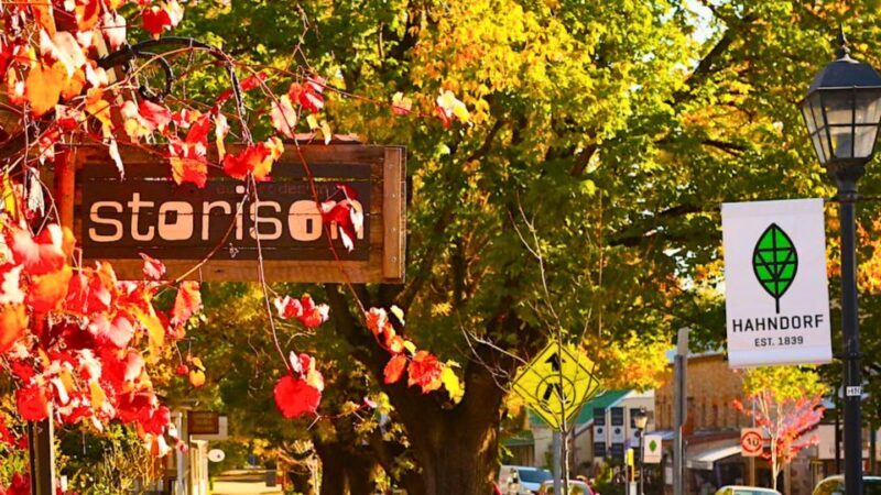 Adelaide: Half-Day Highlights City, Mount Lofty & Hahndorf - Who Will Love This Tour?