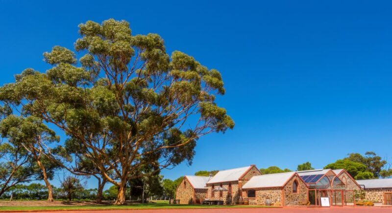 Adelaide: Half-day McLaren Vale & Glenelg Wine Tasting Tour - The Sum Up