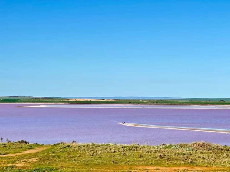 Adelaide Highlights: Wine, Whispering Wall & Pink Lake Tour - A Closer Look at the Itinerary and Experiences