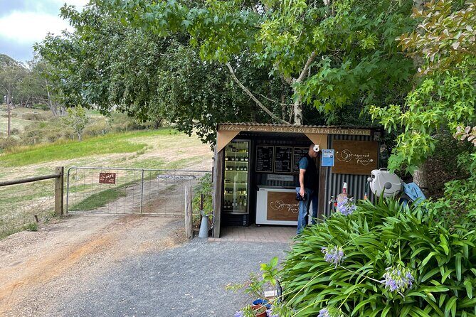 Adelaide Hills and Hahndorf - Half Day Private Tour - Value and Practical Considerations