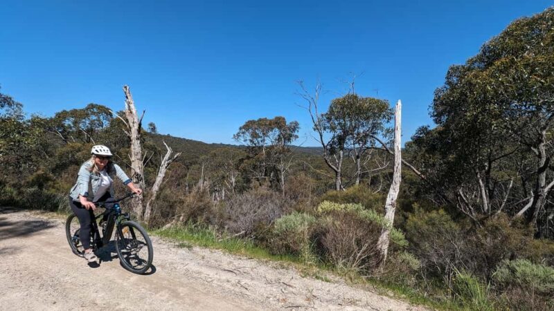 Adelaide Hills: E-Bike Self-Guided Tour with Coffee and Cake - The Quality of the Equipment and Support