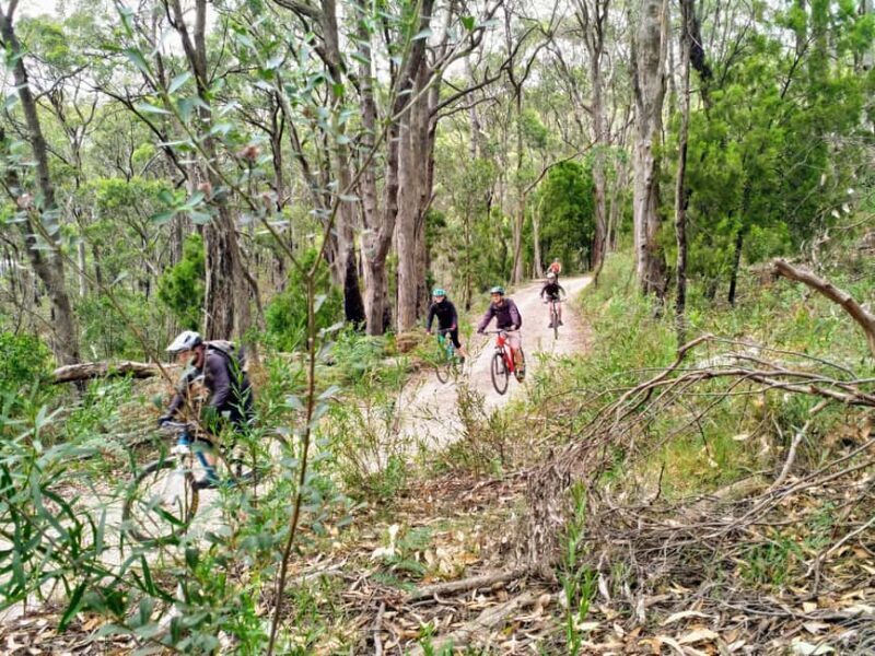 Adelaide Hills: E-Bike Self-Guided Tour with Coffee and Cake - Final Thoughts: Why Choose This Tour?
