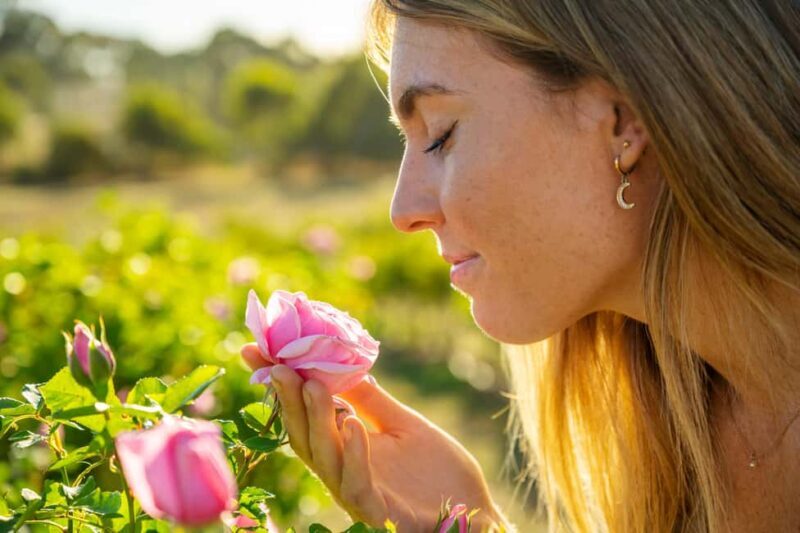 Adelaide Hills: Jurlique Farm Tour - A Natural Peek into Biodynamic Farming