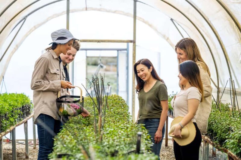 Adelaide Hills: Jurlique Farm Tour - The Harvest & Product Connection