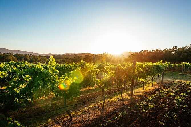 Adelaide Hills Luxury Villa & Wine Tour Package - The Sum Up
