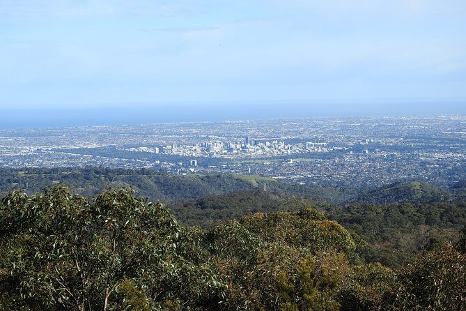 Adelaide Hills Private Day Tour - Who Should Consider This Tour?