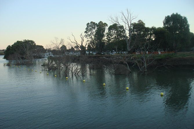 Adelaide Hills Tour with River Murray Lunch Cruise - Wrapping It Up