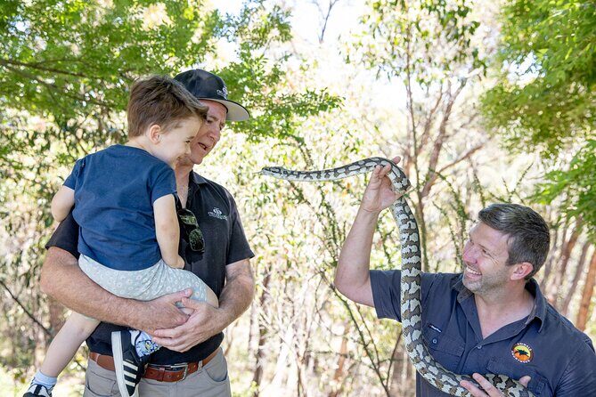 Adelaide Hills Wine & Wildlife Private Tour, inc Hahndorf & lunch - Exploring the Itinerary in Detail