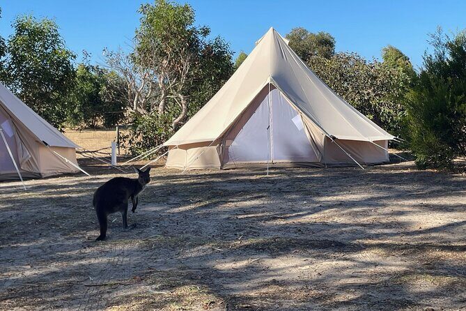 Adelaide: Kangaroo Island 2-Day Epic Adventure Small Group tour - Discovering Stokes Bay and the Local Brewery