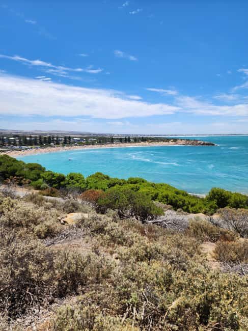 Adelaide: McLaren Vale, Port Elliot & Victor Harbor Tour - Who Should Consider This Tour?