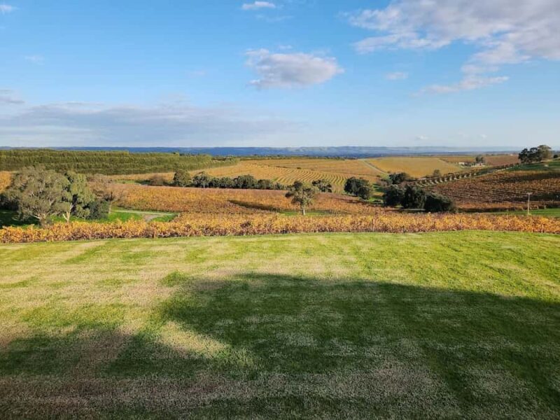 Adelaide: McLaren Vale Private WineTour+Your Chosen Tastings - Scenic Views and Photo Opportunities