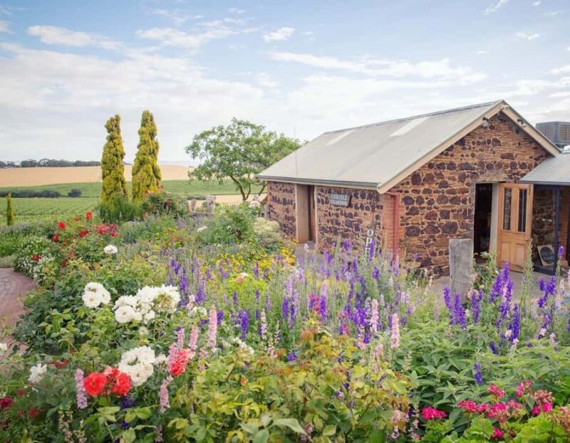 Adelaide: McLaren Vale Private WineTour+Your Chosen Tastings - The Return Journey