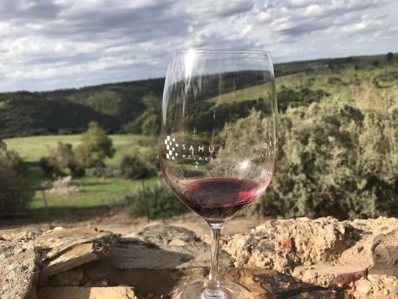Adelaide: McLaren Vale Private WineTour+Your Chosen Tastings - Itinerary and Stops: What to Expect
