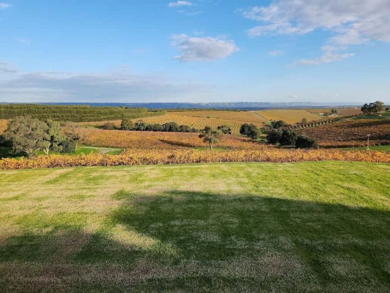 Adelaide: McLaren Vale Private WineTour+Your Chosen Tastings - The Experience and Its Value