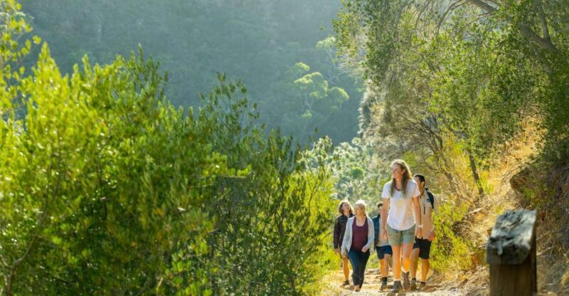 Adelaide: Morialta Wilderness and Wildlife Hike - A Detailed Look at the Morialta Wilderness and Wildlife Hike