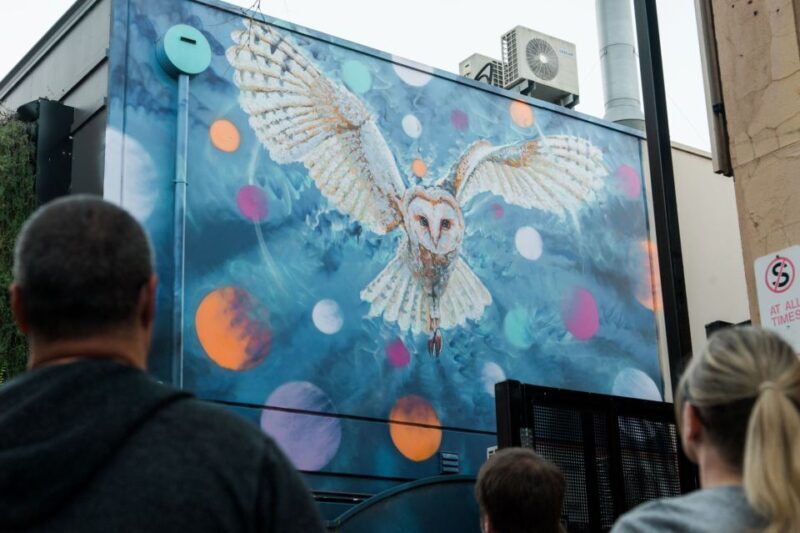 Adelaide: Paint and Palate Street Art Tour - Introduction: An Engaging Glimpse of Adelaide’s Street Art