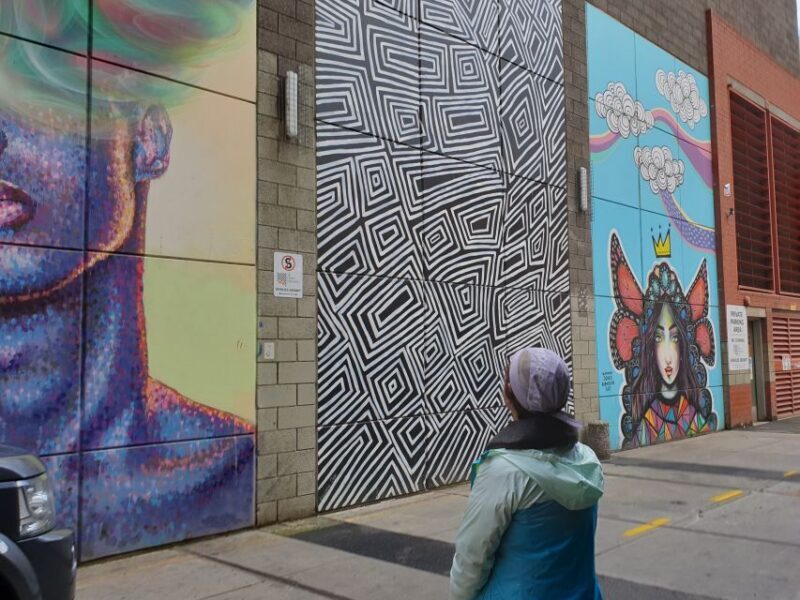 Adelaide: Paint and Palate Street Art Tour - Value and Cost Analysis