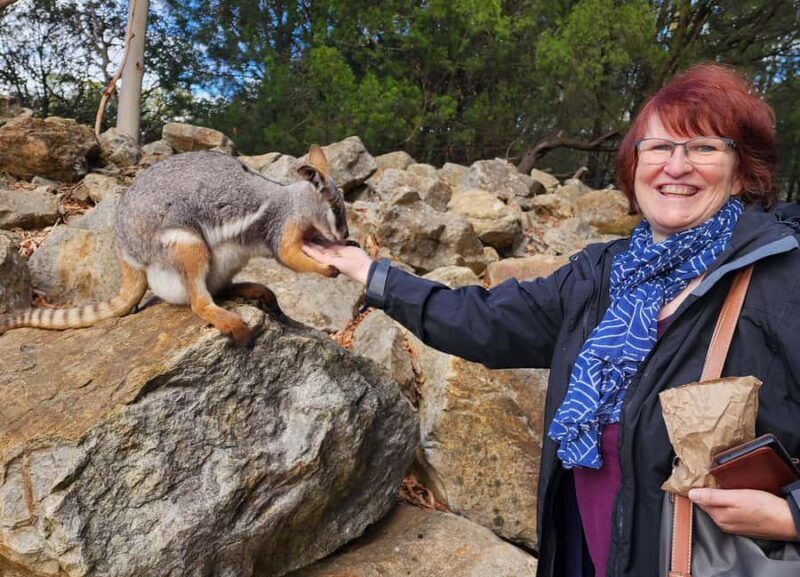 Adelaide: Premium Adelaide Hills Cleland and Hahndorf Tour - Final Thoughts