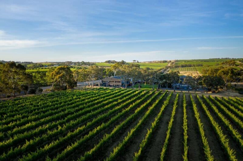 Adelaide: Premium McLaren Vale Wine and Brew Minibus Tour - Who Will Love This Tour?