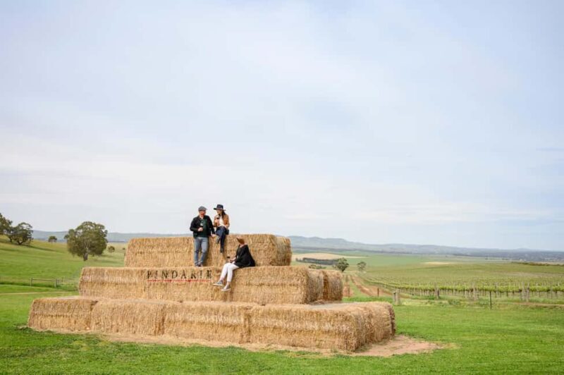 Adelaide: Small Group Tour of Barossa, Wineries with Lunch - The Verdict: Who Will Love This Tour?
