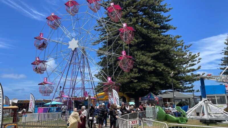 Adelaide: South Australia Guided Full-Day Highlights Tour - Key Points