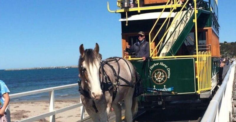 Adelaide: South Australia Guided Full-Day Highlights Tour - An Introduction to Your Day in South Australia
