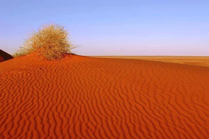 Adelaide to Coober Pedy 7-Day Small Group 4WD Eco Safari - An In-Depth Look at the Adventure