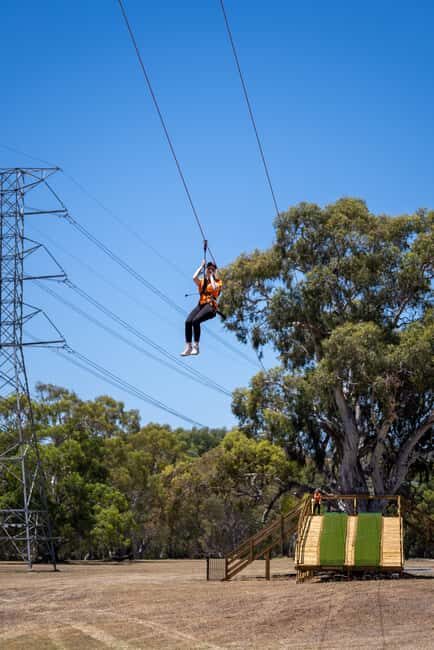 Adelaide: TreeClimb Adventure - What’s Not Included and Important Considerations