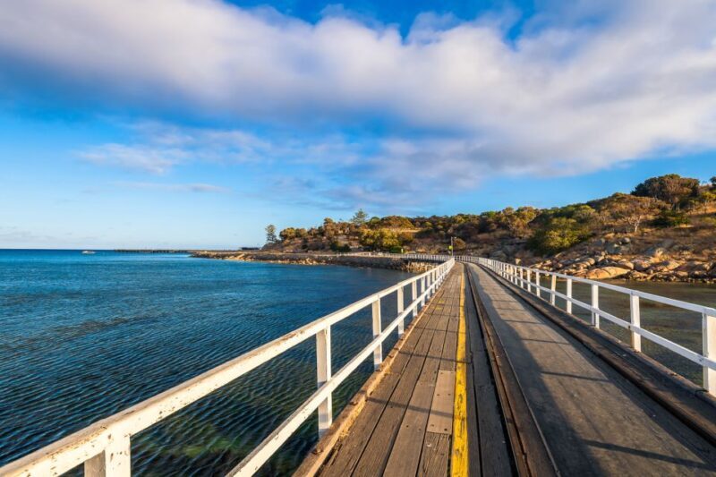 Adelaide: Wine and Wildlife 4WD Tour - The Value of the Experience
