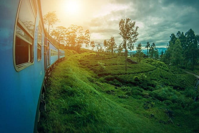 Adisham Rail Tour from Ella City - The Scenic Beauty of Ella and the Train Journeys
