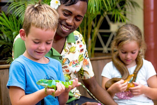Admission + 2x Zip Line + Unlimited Water Slide Rides - Getting Around: The Forest Walkways and Canopy Adventures