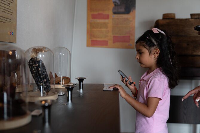 Admission and Chocolate Tasting at Choco Story Zócalo in CDMX - FAQ