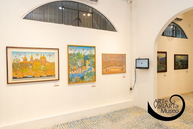 Admission Arte Vallarta Museum - Practical Tips for Visiting