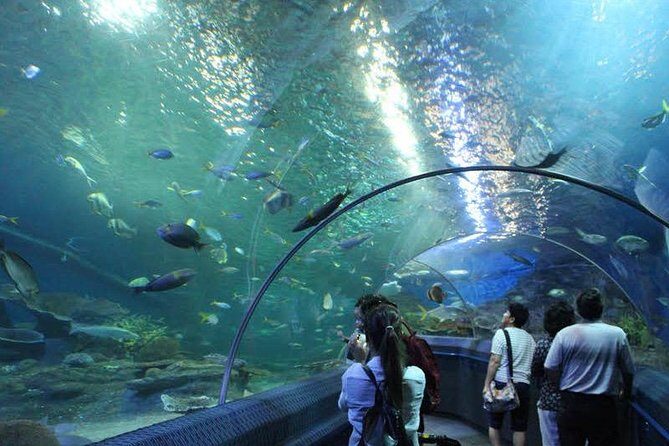 Admission Ticket to Underwater World Pattaya with Return Transfer - Who Should Consider This Tour?