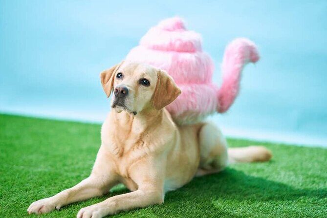 Admission Ticket to Unko Museum in Tokyo - A Closer Look at the Unko Museum Experience