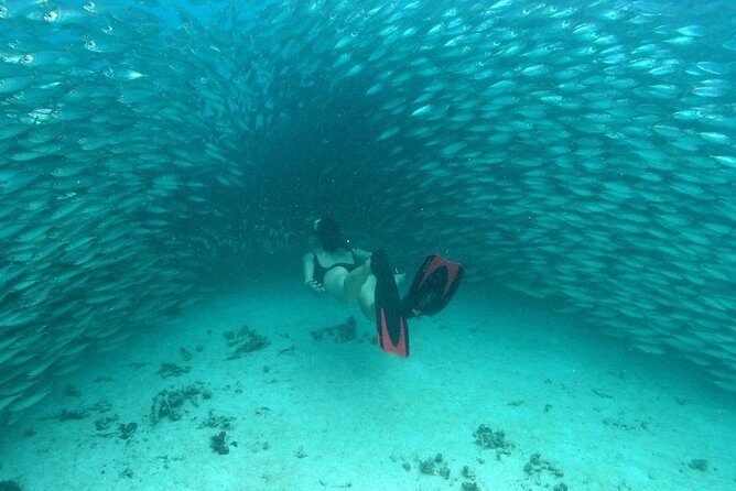 Adrenaline adventure on this Super Snorkeling Tour with ATVs and zip lines. - Who Should Consider This Tour?