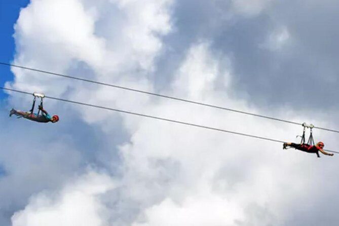 AdrenaLine Kauai Zipline - Zipline Acrobatics and Racing
