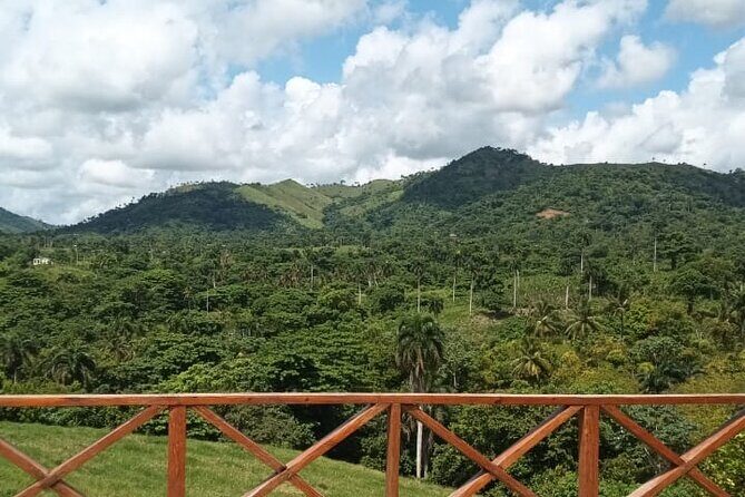 Adrenaline Total: Zipline Tour in Punta Cana - The Sum Up